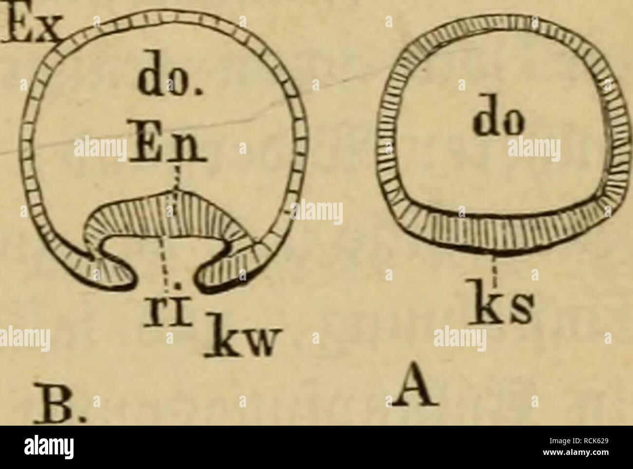 Idare hi-res stock photography and images - Alamy