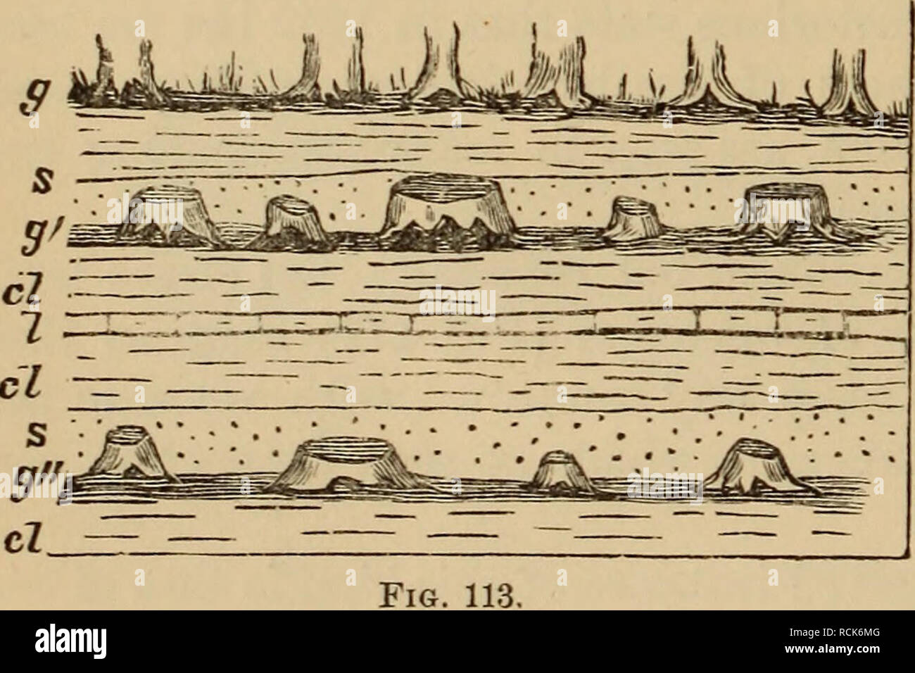 Swedish sea level hi-res stock photography and images - Alamy