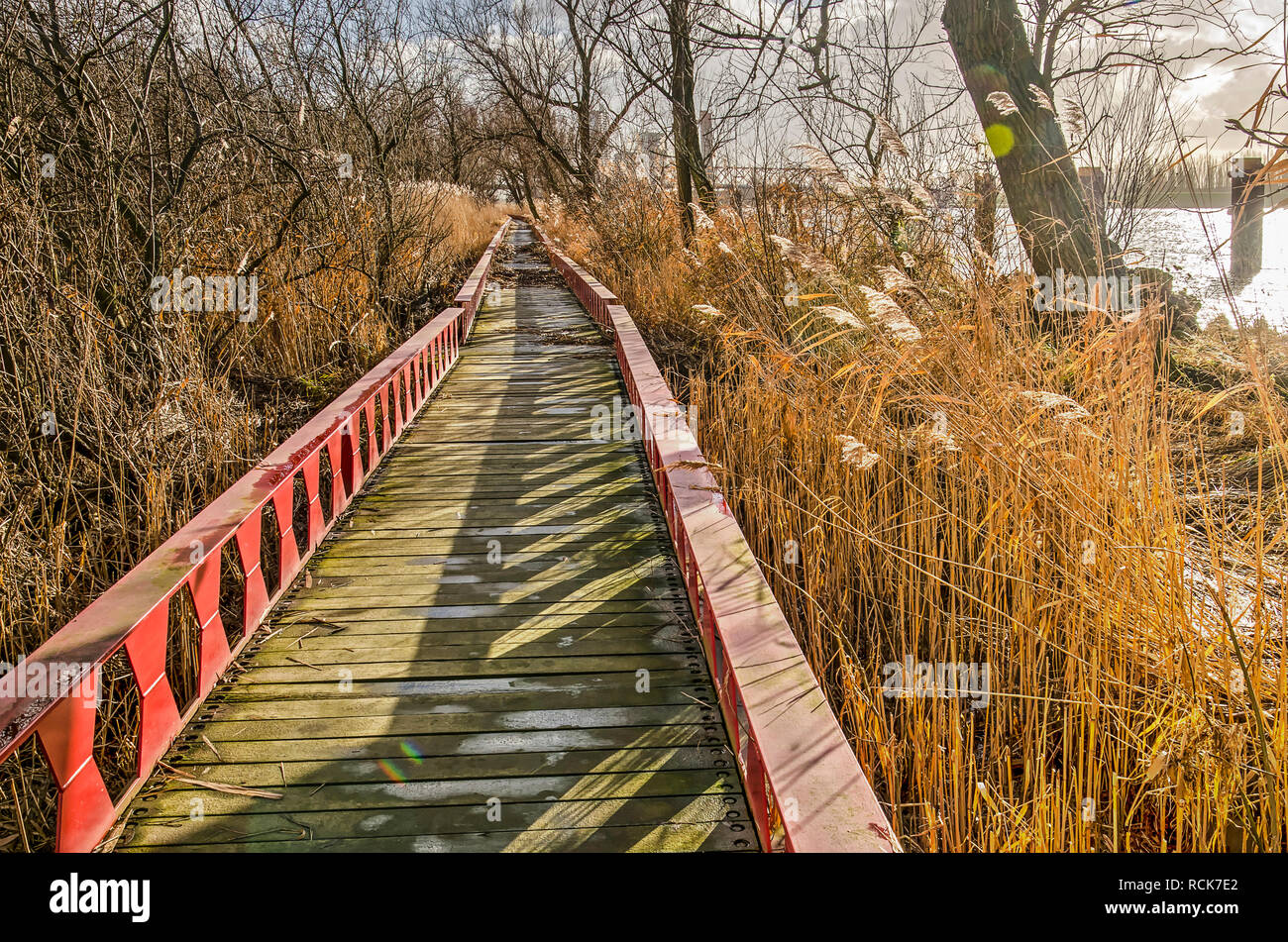 Elevated footpath made of steel beams and wooden planks in between ...