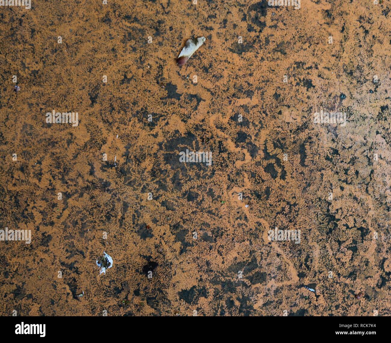 Close up high resolution surface of plastic materials Stock Photo - Alamy
