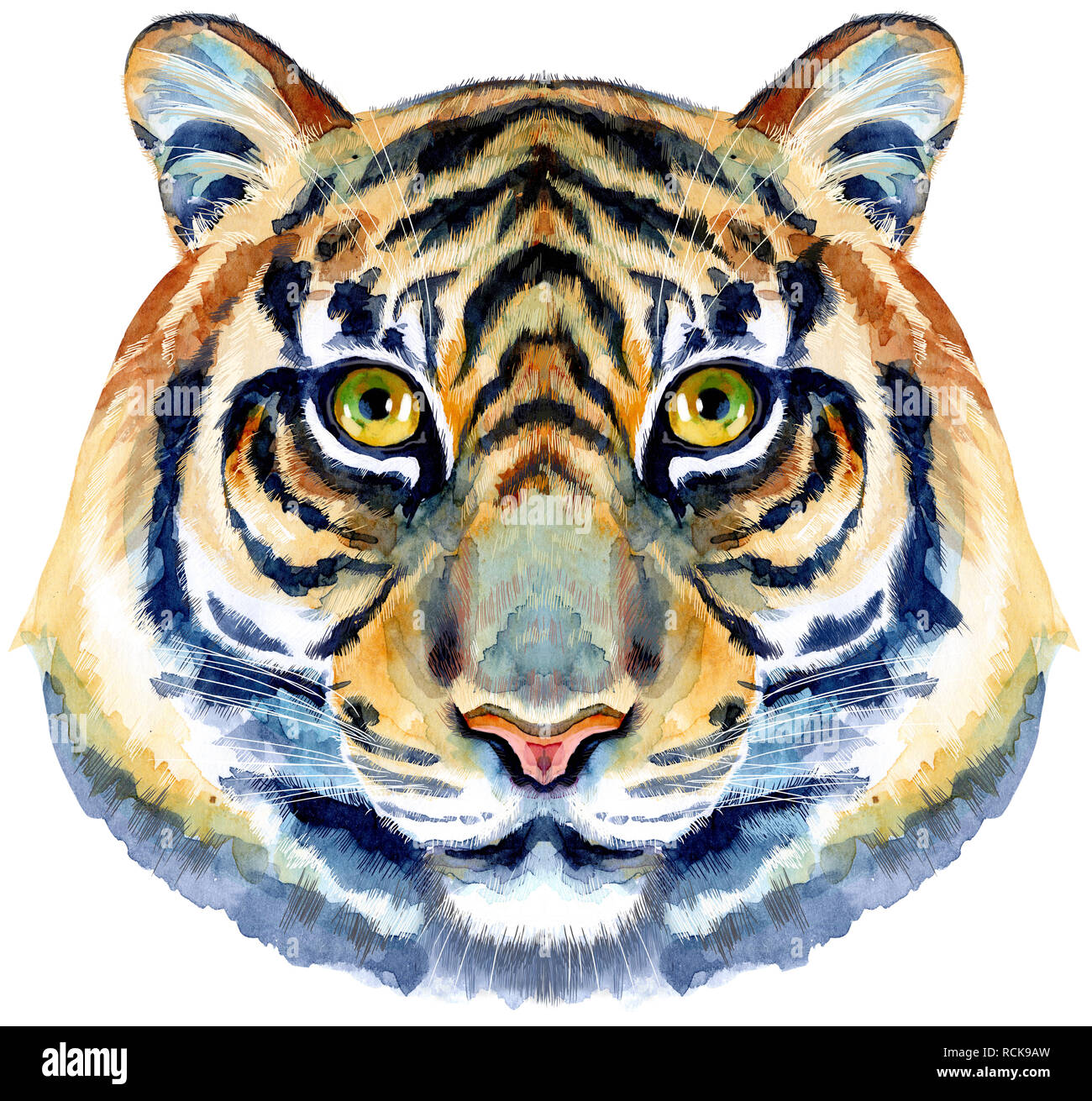 Tiger head painting hi-res stock photography and images - Alamy