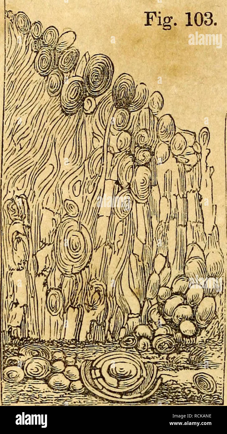 Exfoliation Of Rocks High Resolution Stock Photography and Images - Alamy