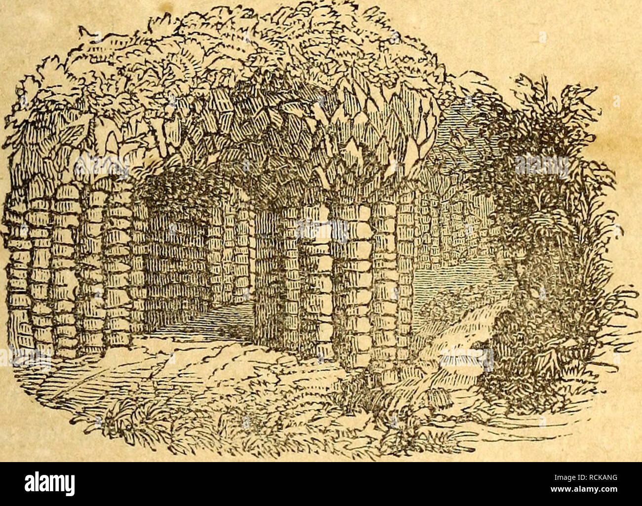 . Elements of geology. Geology. PART I. CHAPTER VIII. 113 Columnar and ...
