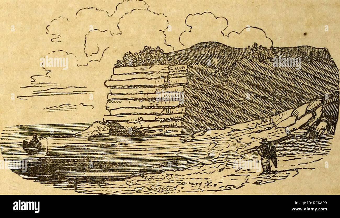 . Elements of geology. Geology. 70 LYELL'S ELEMENTS OF GEOLOGY. Dip and ...