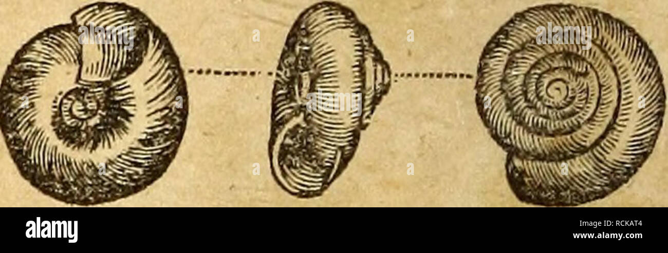 . Elements of geology. Geology. Fin-. 43. to distinguish the two by ...