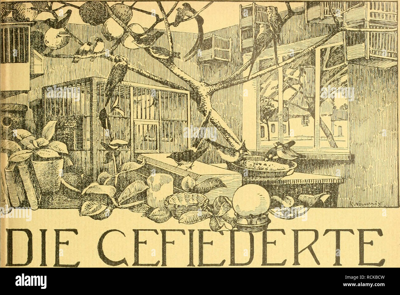 Von Finck High Resolution Stock Photography and Images - Alamy