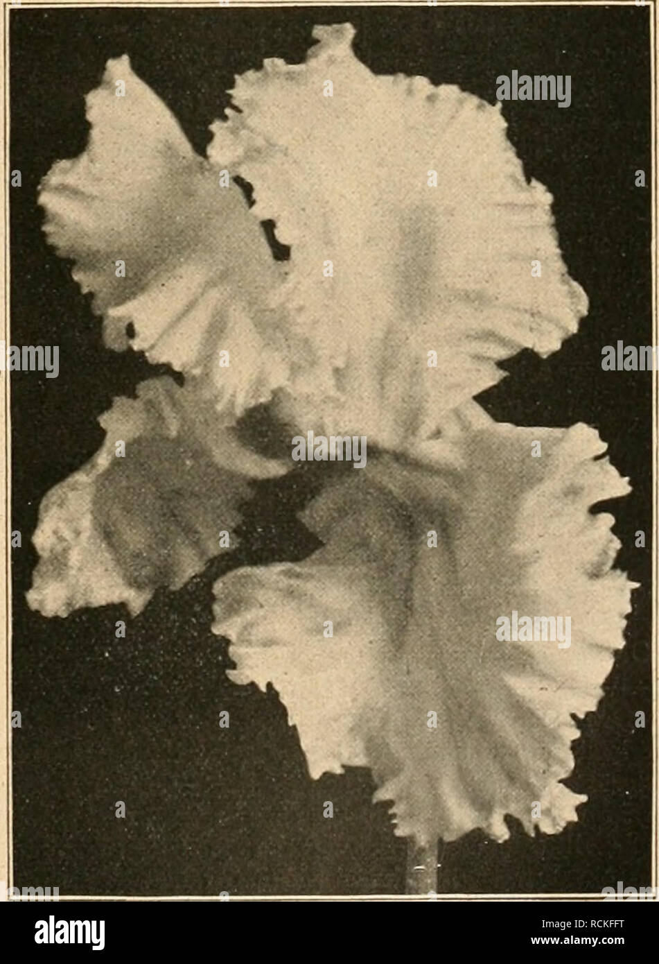 Zeichnen mit farbe hi-res stock photography and images - Alamy