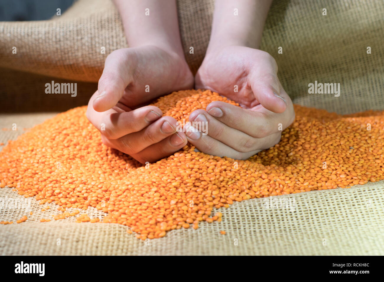 Female hand red lentils hi-res stock photography and images - Alamy
