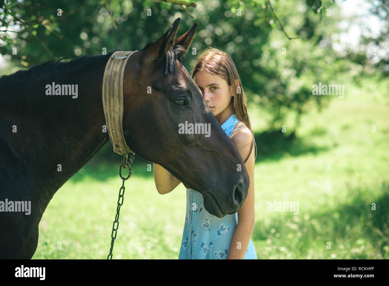 The gift of friendship. Pretty girl at horse ranch. Adorable horse ...