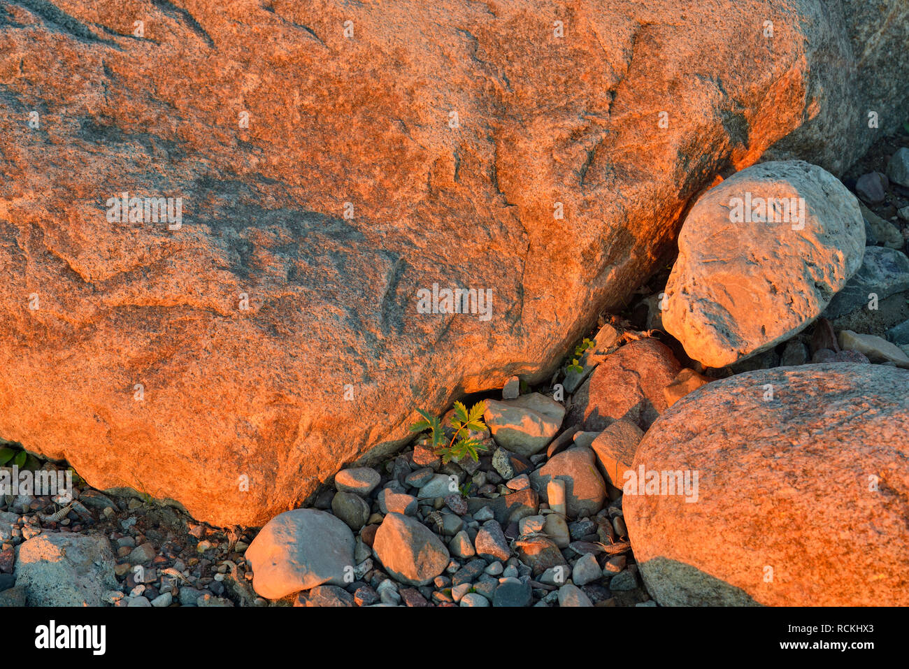 Shoreline and riverbank hi-res stock photography and images - Alamy