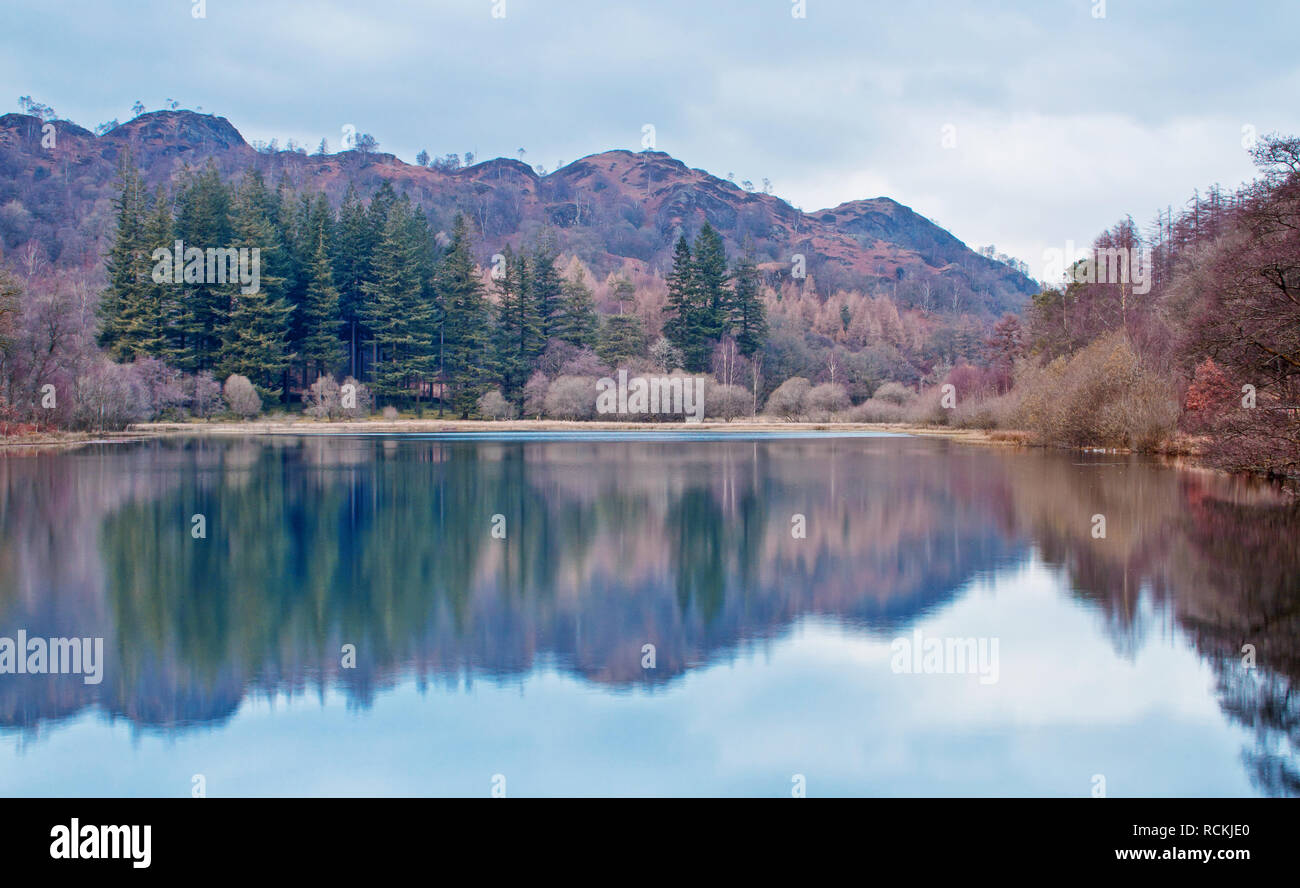 Yew tree tarn lake district hi-res stock photography and images - Alamy