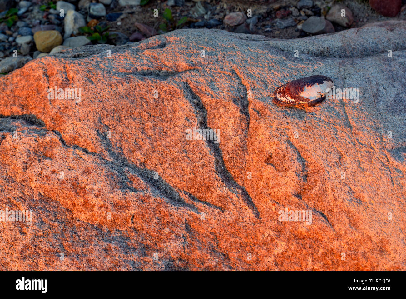 Mackenzie River shoreline rocks, Fort Providence, Northwest Territories ...