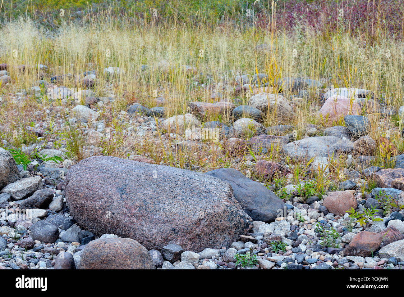 Mackenzie River shoreline rocks and grasses, Fort Providence, Northwest ...