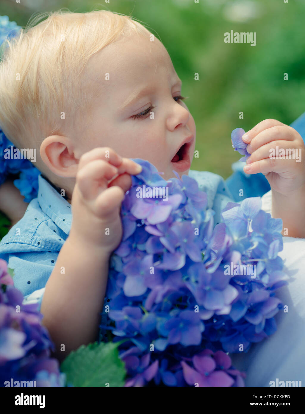 Little boy at blooming flower. Childrens day. Small baby boy. New life ...