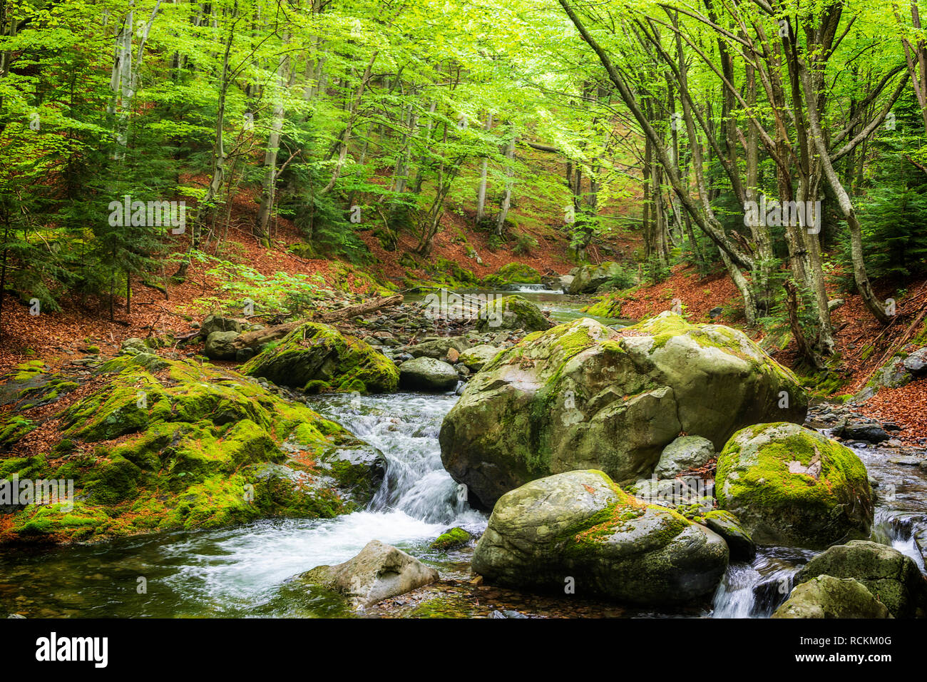 Spring in Old mountain, Central Balkan, Bulgaria Stock Photo - Alamy