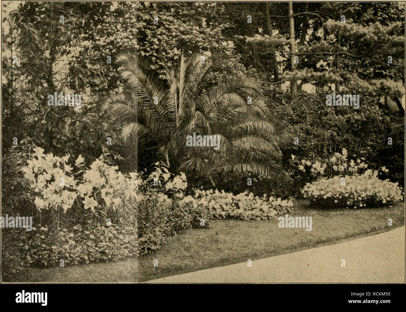 Reisig herzen hi-res stock photography and images - Alamy