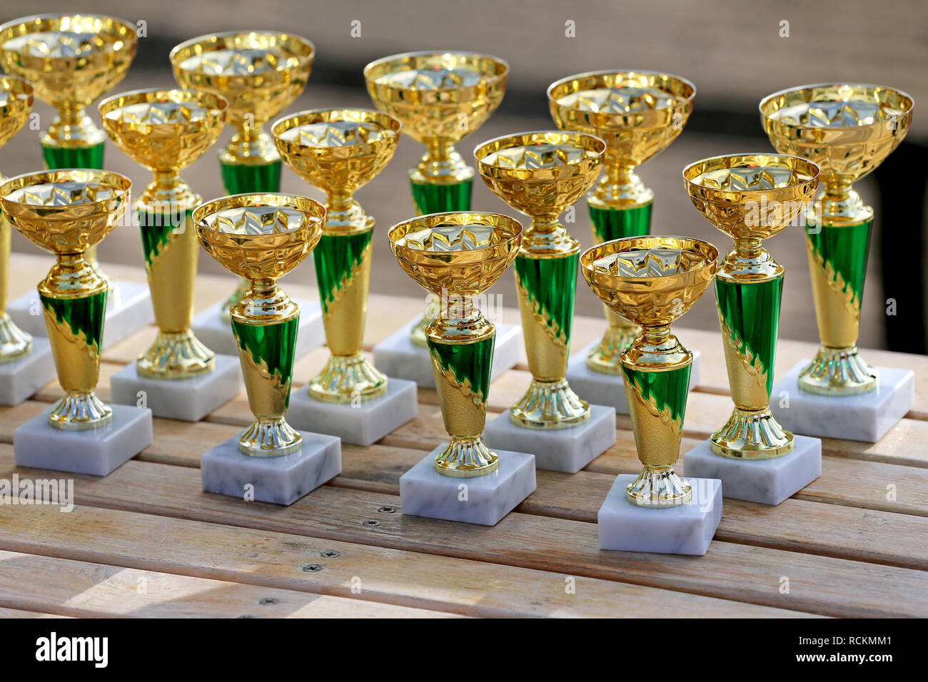 Golden colored trophies waiting for winners at an equestrian event ...