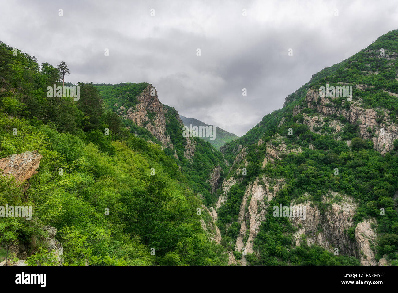 Spring in Old mountain, Central Balkan, Bulgaria Stock Photo - Alamy