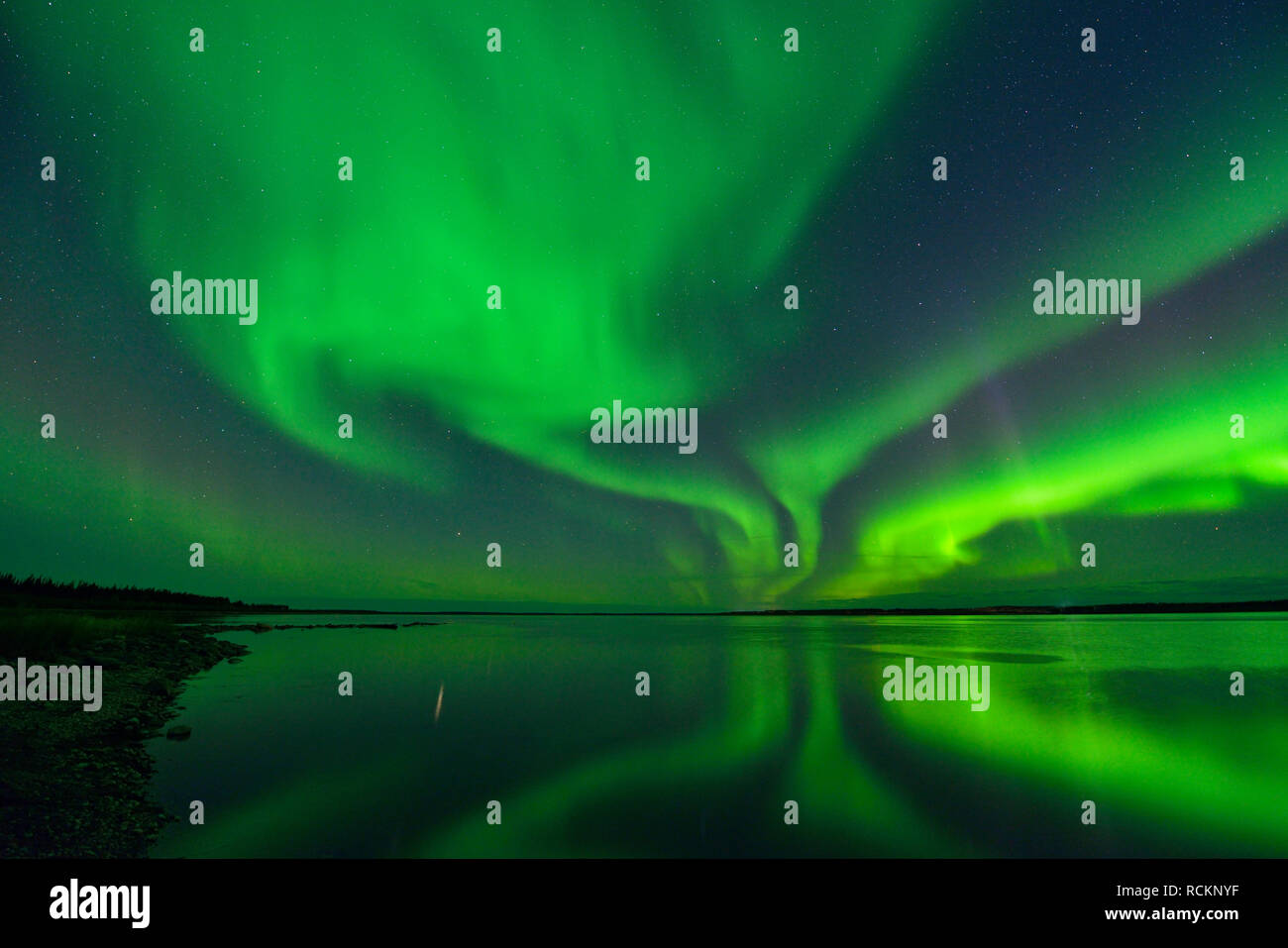 Aurora borealis (northern lights) in the night sky over the Mackenzie ...