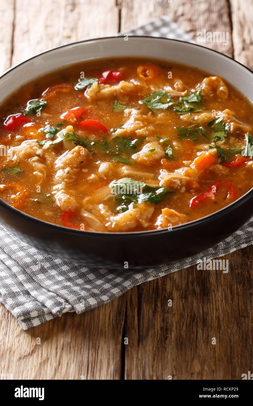 Dietary Polish meal flaczki with vegetables in tomato sauce close-up in ...