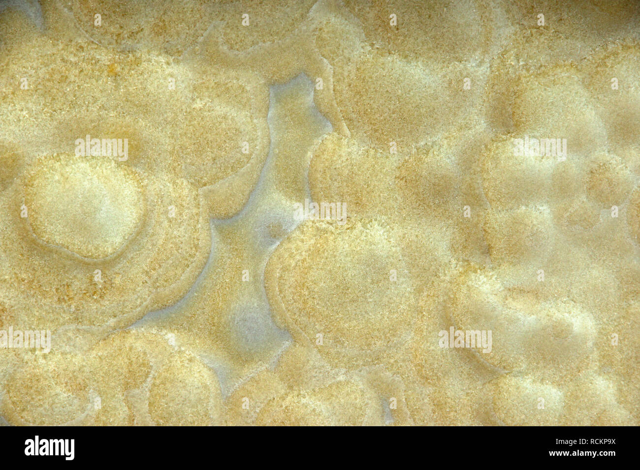 Beautiful background of natural Onyx stone with bubbles, onix naranja ...