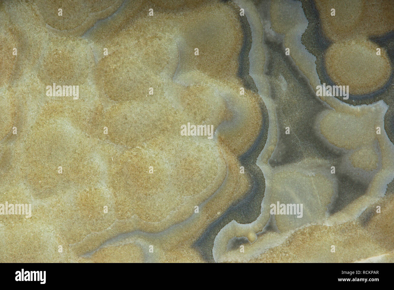 Beautiful background of natural Onyx stone with bubbles and dark stains ...