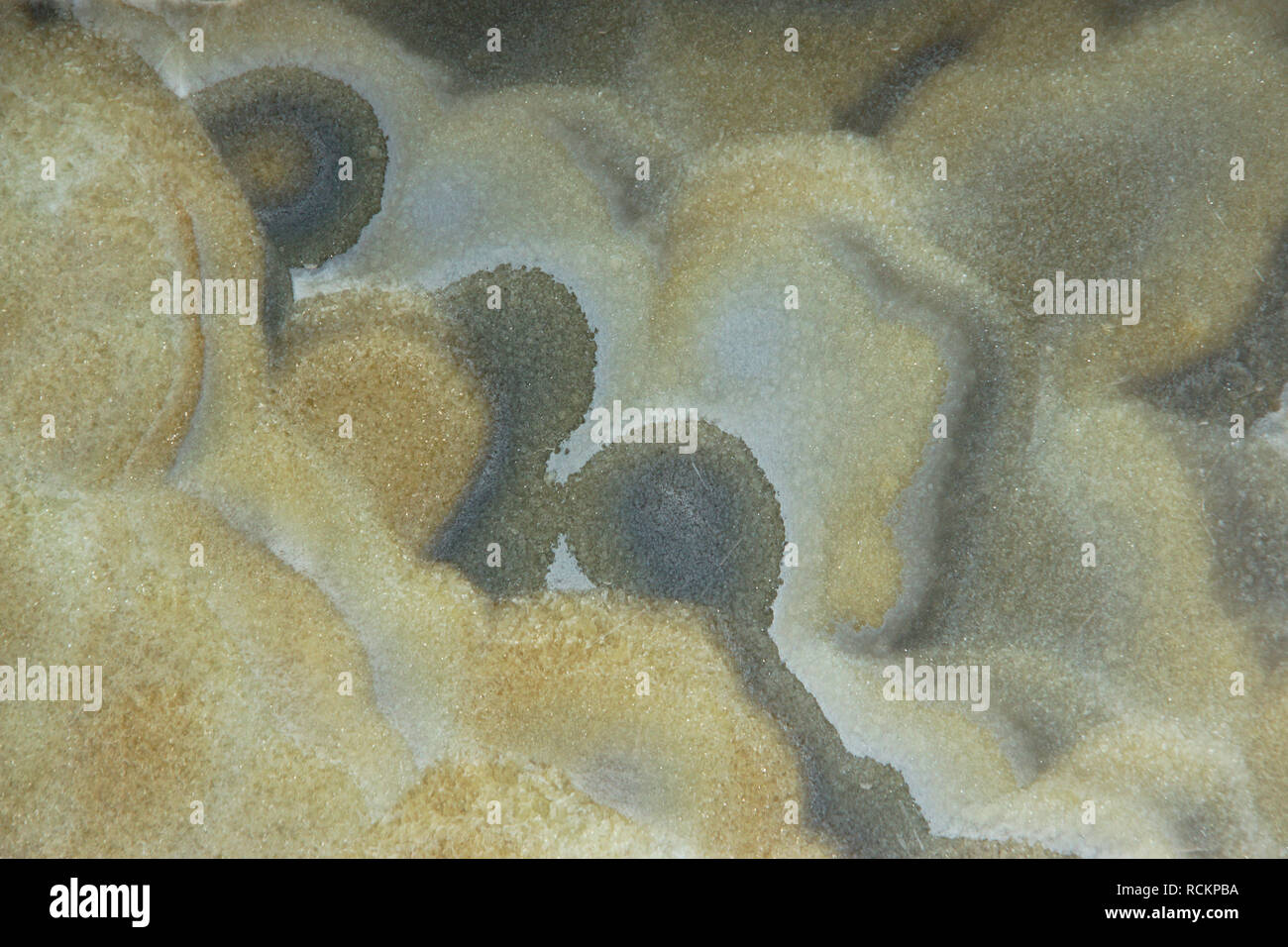 Background from a natural stone Onyx with bubbles and gray stains on ...