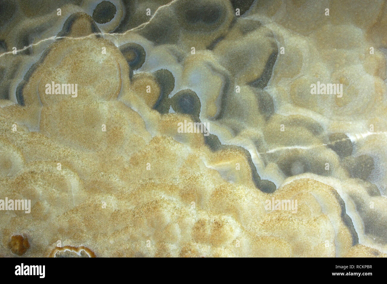 Background from a light natural stone Onyx with bubbles and gray stains ...