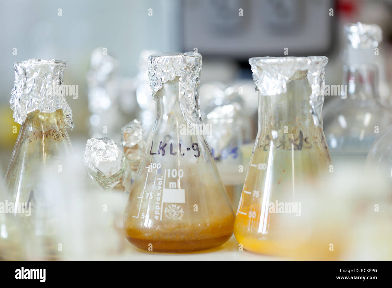 Chalcone experimentation in a chemical laboratory Stock Photo - Alamy