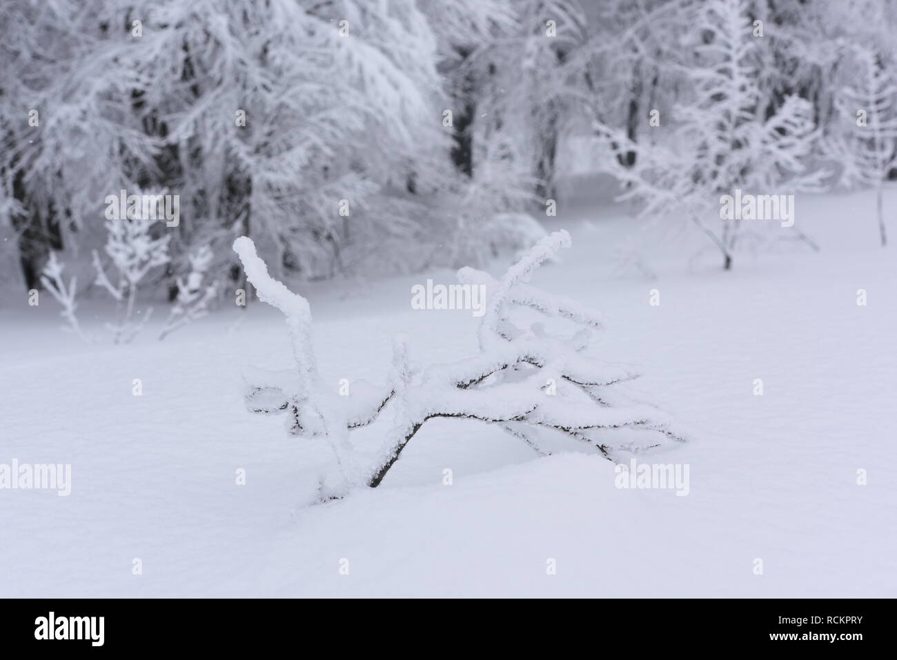 Winter season landscape scene hi-res stock photography and images - Alamy