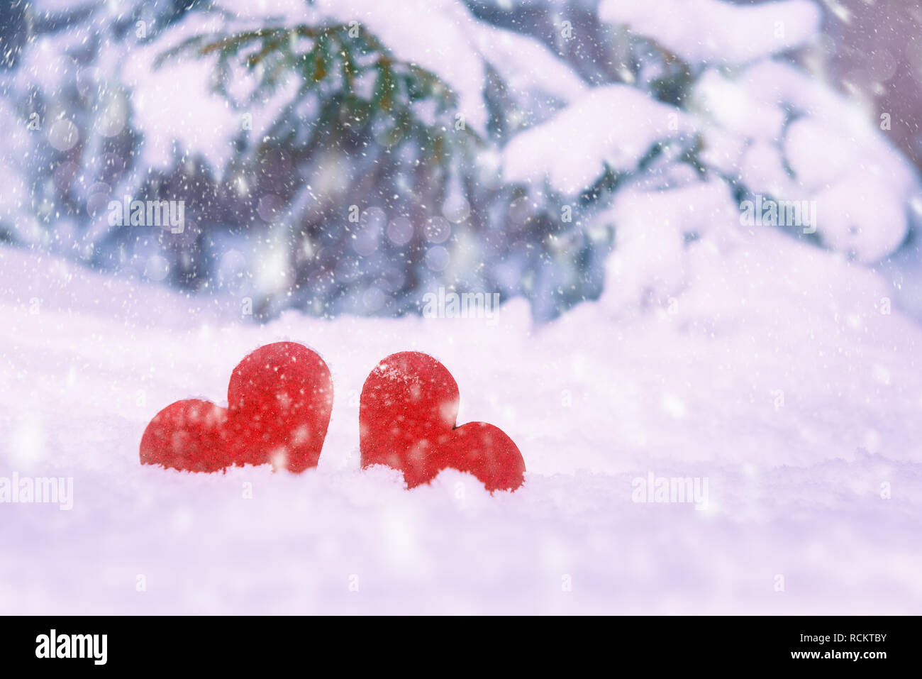 Two red hearts in snow over defocused winter forest background Stock ...