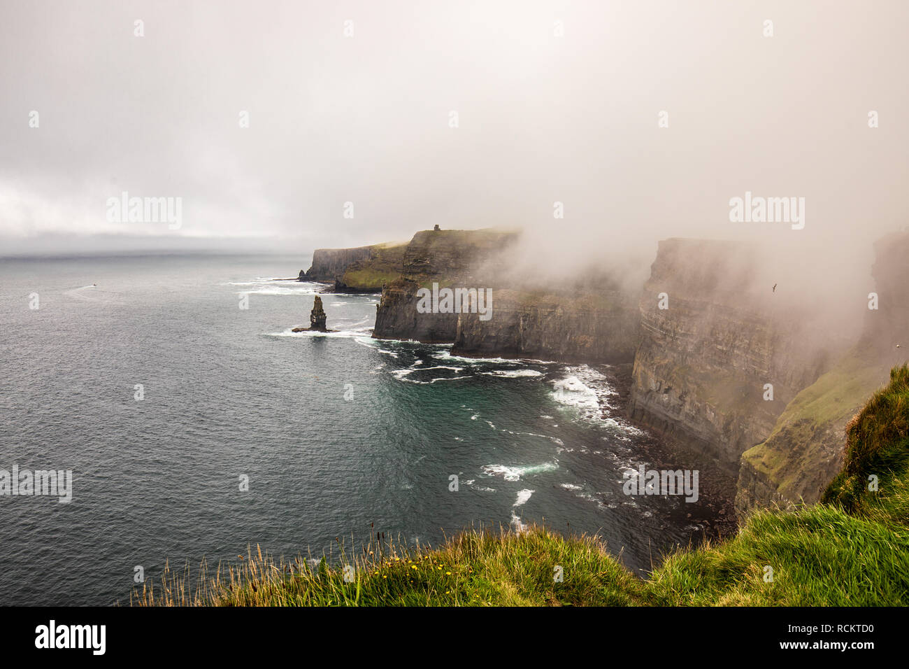 Foggy day at the Cliffs of Moher, Ireland Stock Photo - Alamy