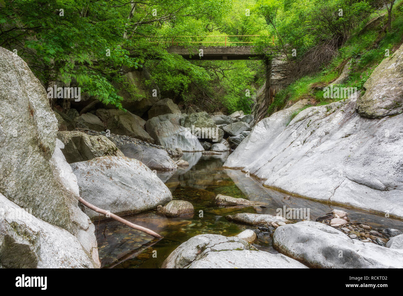 Spring in Old mountain, Central Balkan, Bulgaria Stock Photo - Alamy