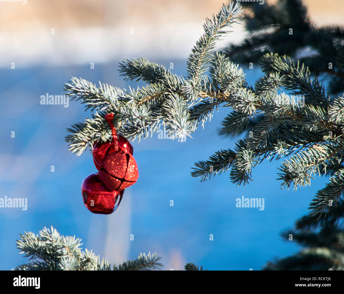 scenes in one of the many urban parks in Calgary Stock Photo - Alamy