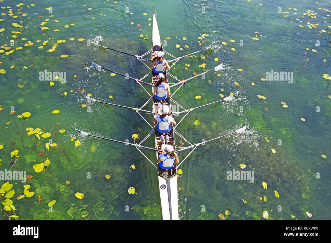 Rowing Race Aerial