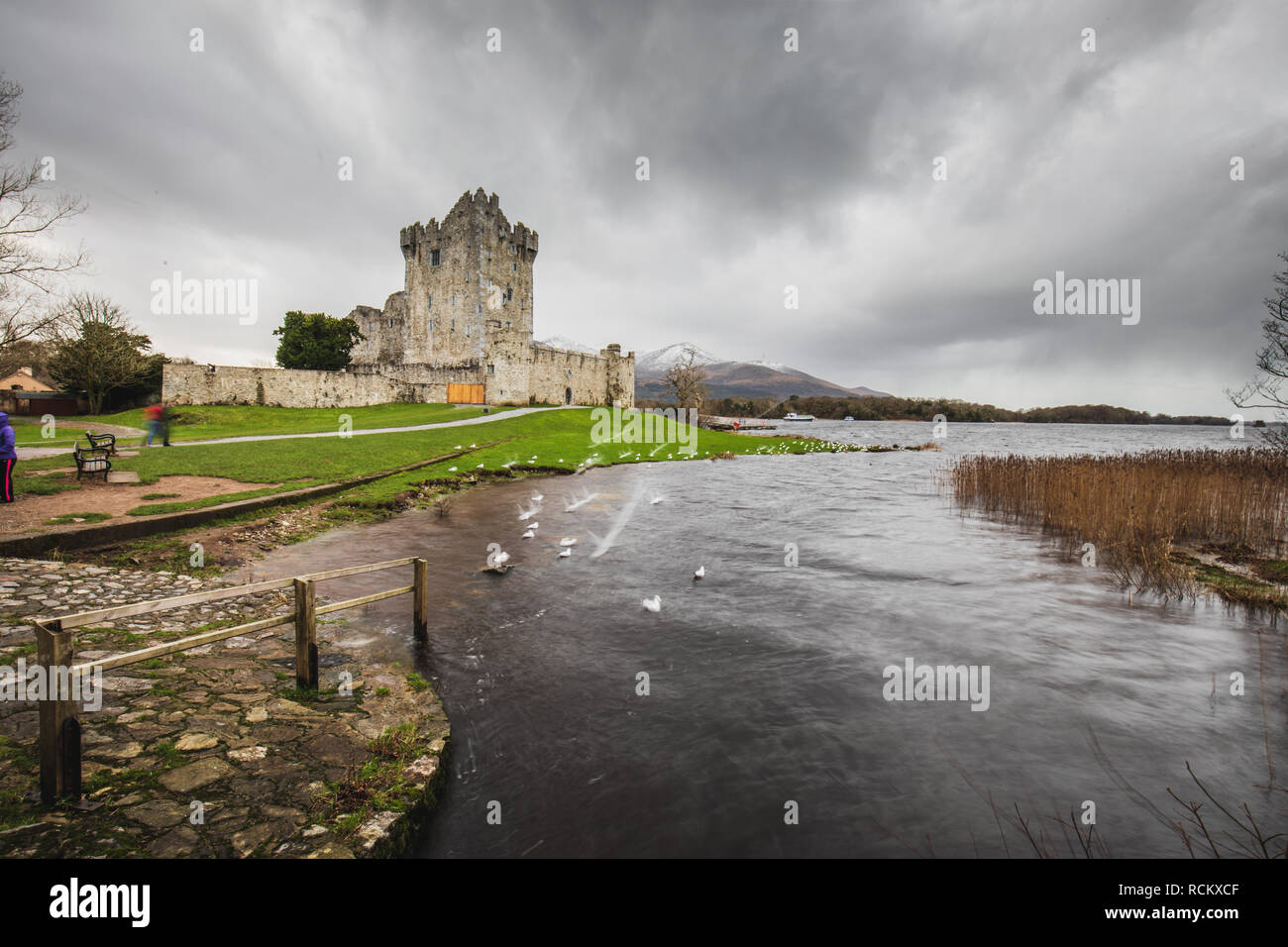 Killarney castle hi-res stock photography and images - Alamy