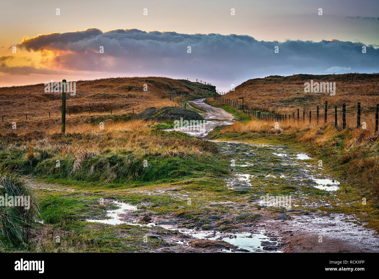 Unmade path hi-res stock photography and images - Alamy
