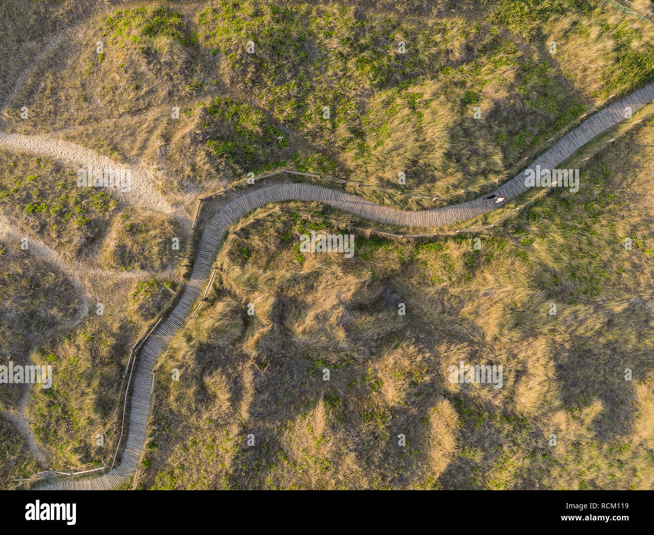 Drone aerial bird's eye view of grassy sand dunes on beach landscape at ...