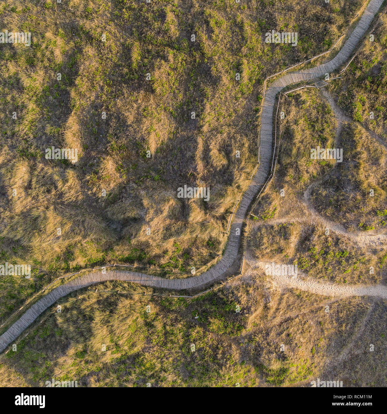 Drone aerial bird's eye view of grassy sand dunes on beach landscape at ...