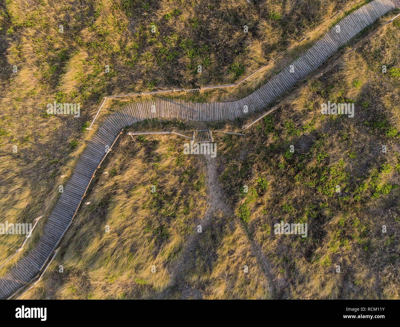 Drone aerial bird's eye view of grassy sand dunes on beach landscape at ...