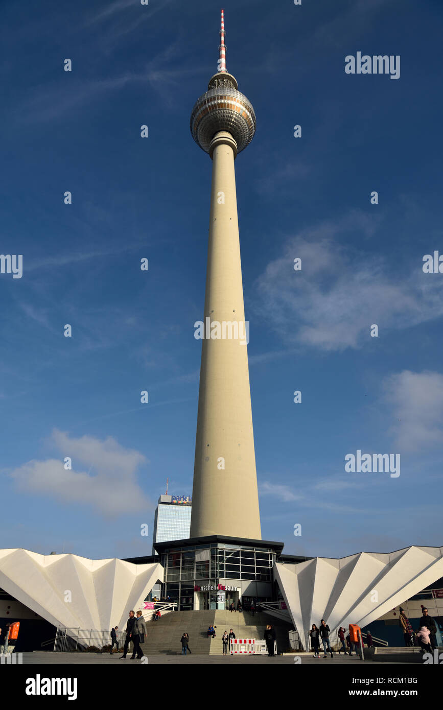 Body worlds berlin hi-res stock photography and images - Alamy