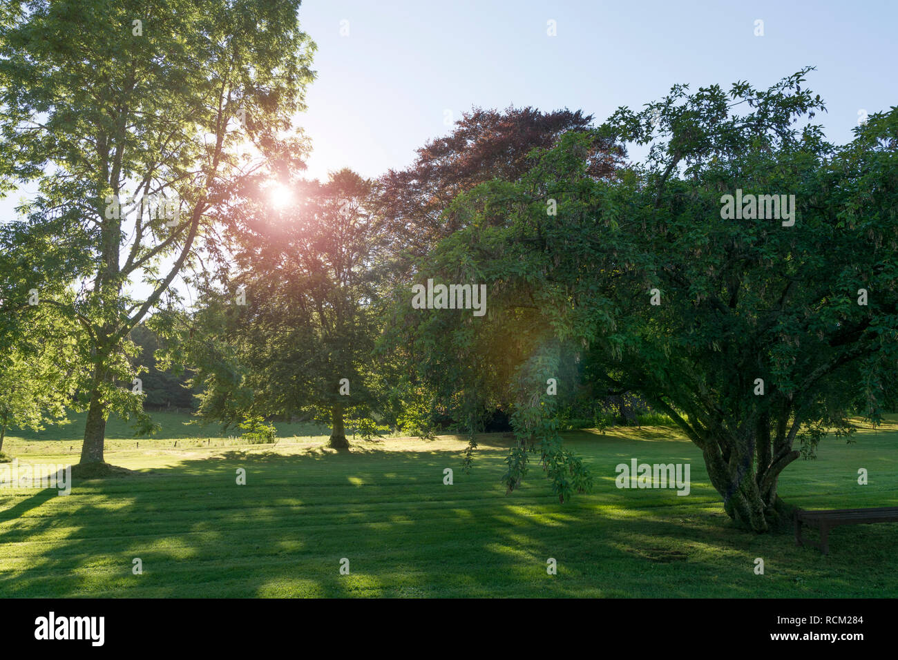 Aberdonia hi-res stock photography and images - Alamy