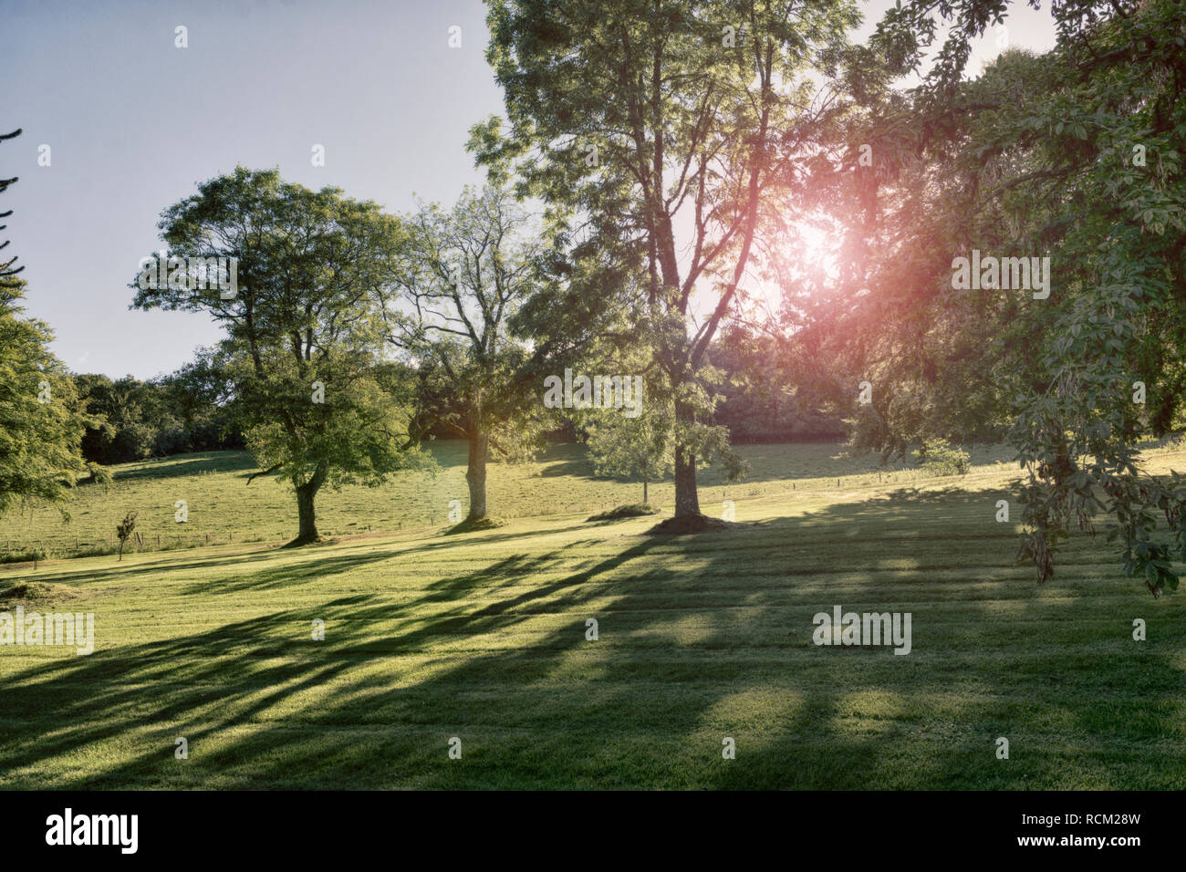 Aberdonia hi-res stock photography and images - Alamy