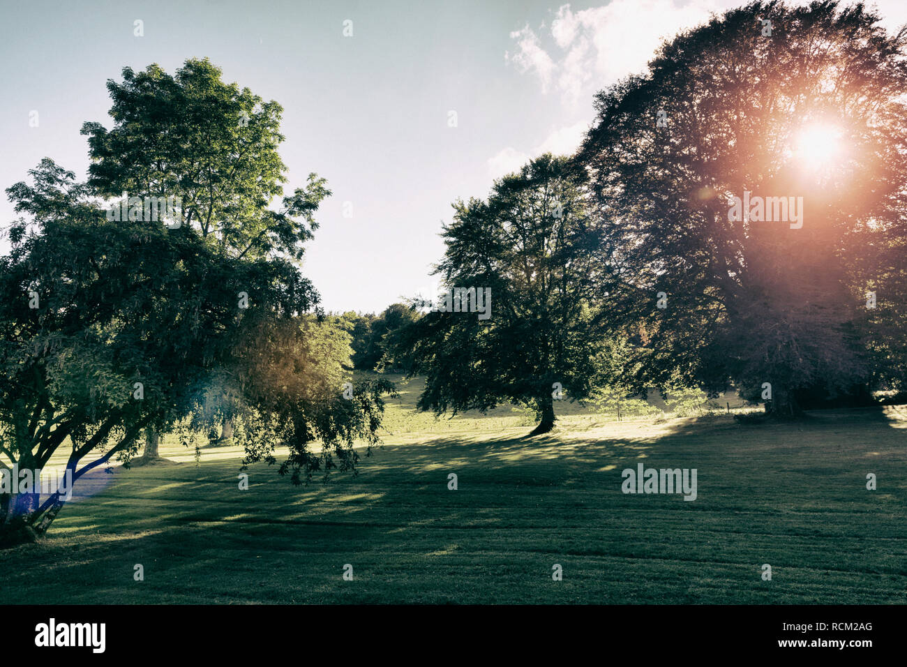 Aberdonia hi-res stock photography and images - Alamy