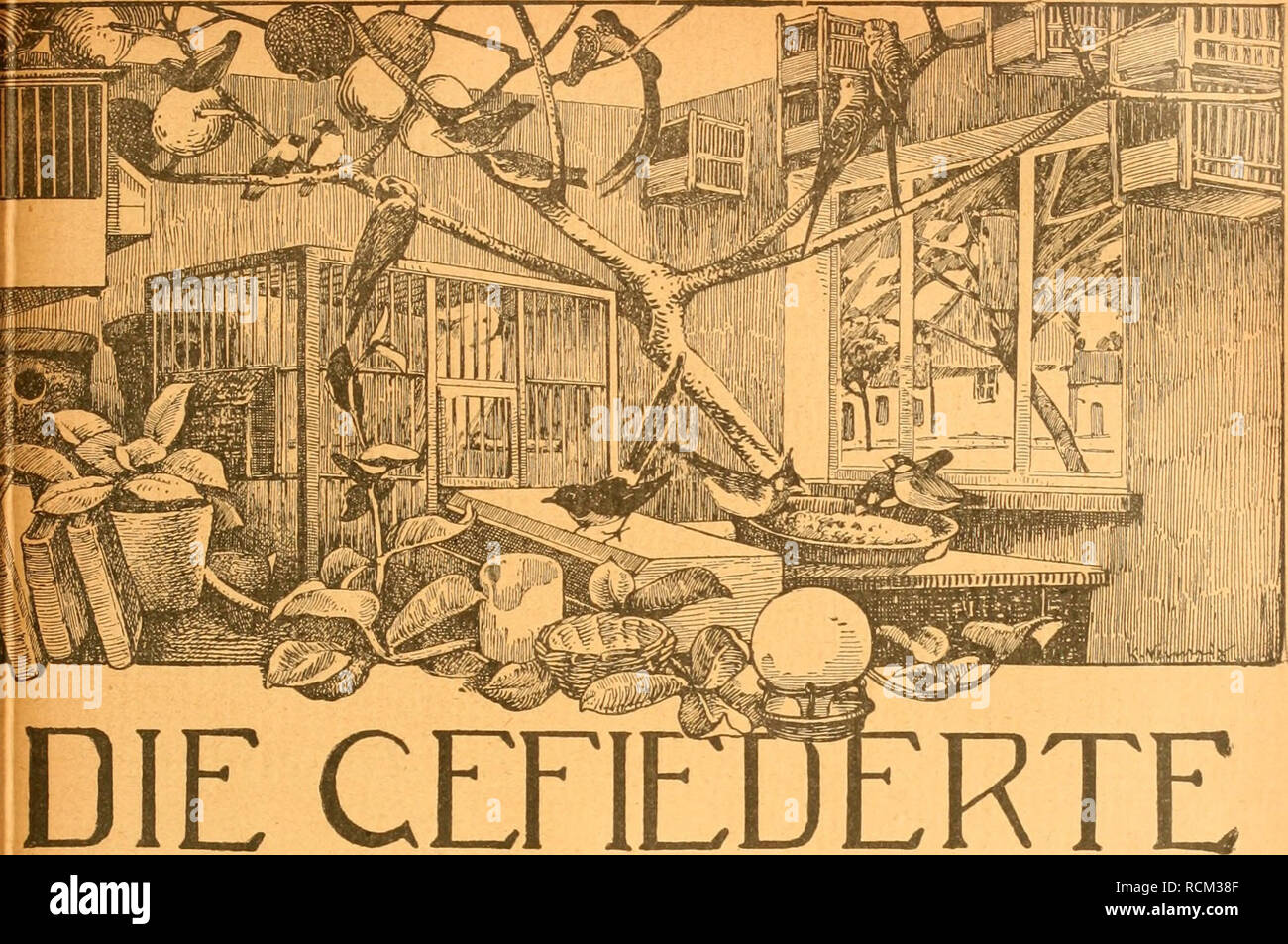 Von Finck High Resolution Stock Photography and Images - Alamy