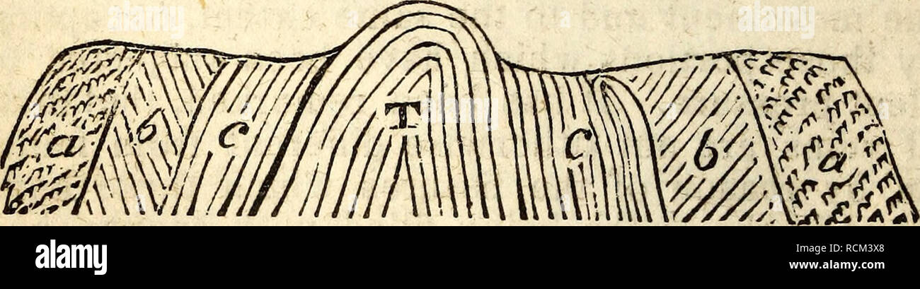 . The elements of geology, for popular use : containing a description ...