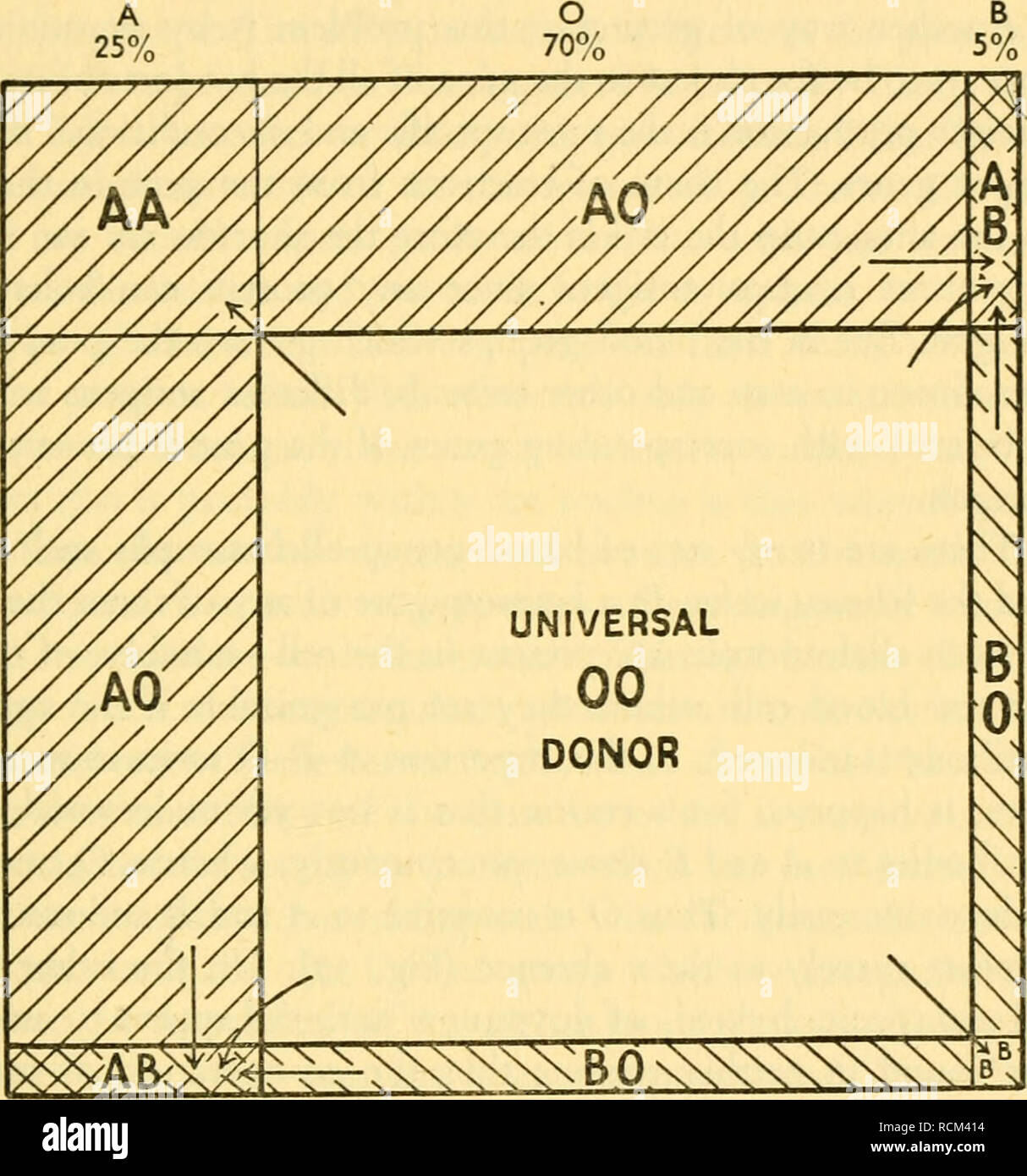 . The elements of genetics. Genetics. WHAT MAJOR GENES DO that they ...