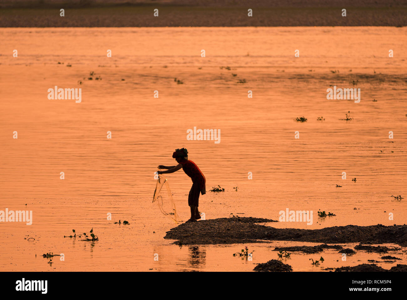 Asian Woman fishing in the river. silhouette at sunset. Village life in ...