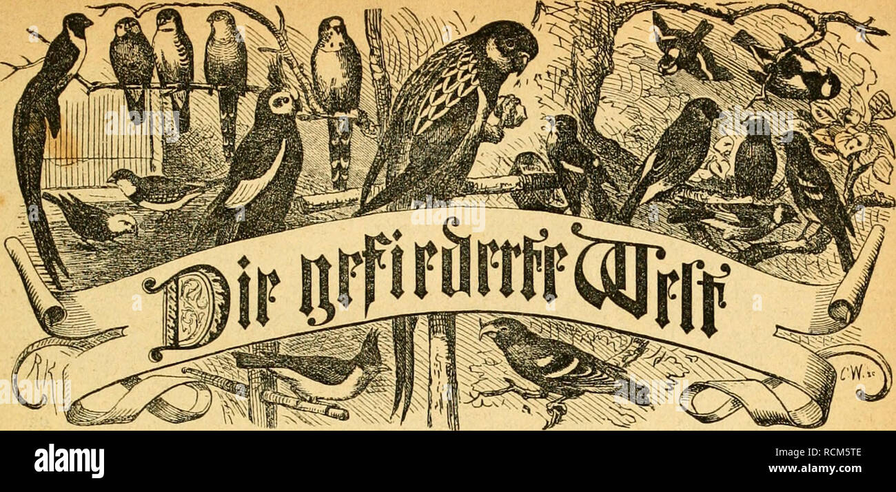 Mr ruf hi-res stock photography and images - Alamy