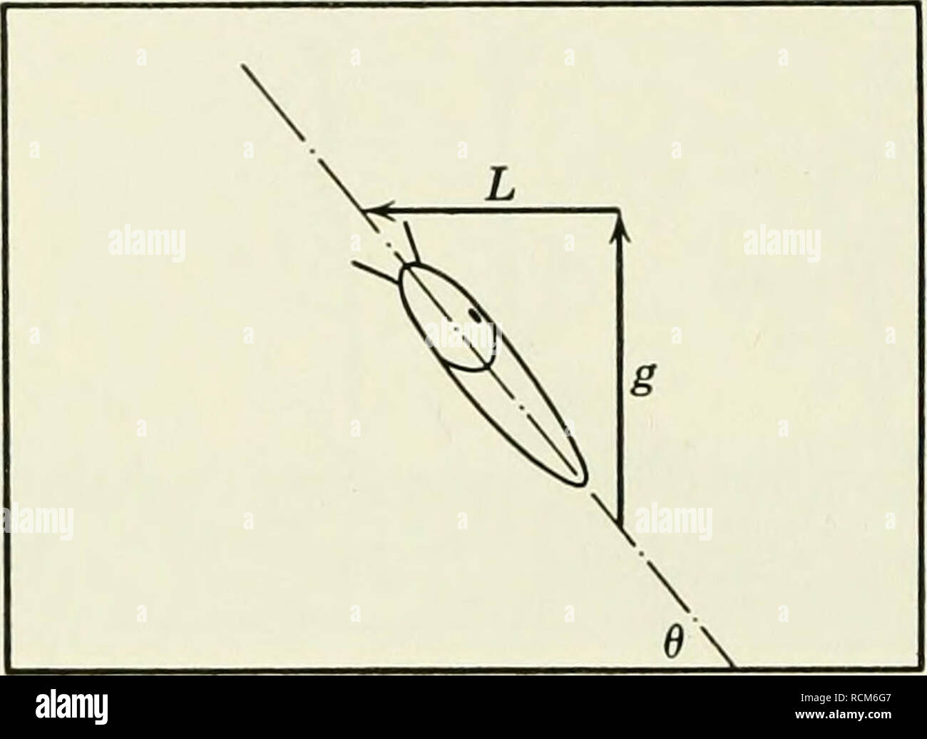 . Elements of ecology. Ecology. 214 Light displaying a negative ...